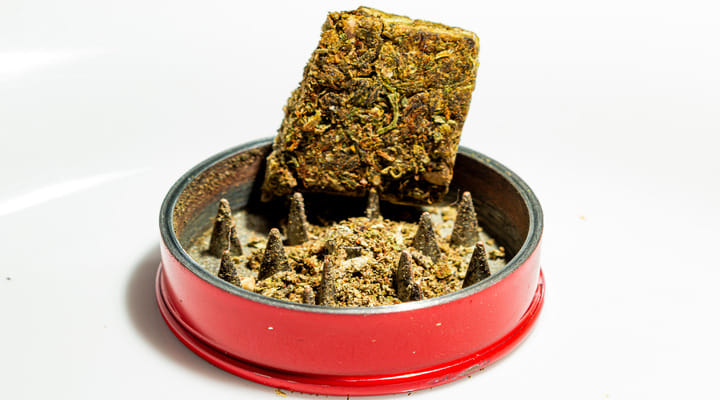 What Is Brick Weed? | Seedsman Blog