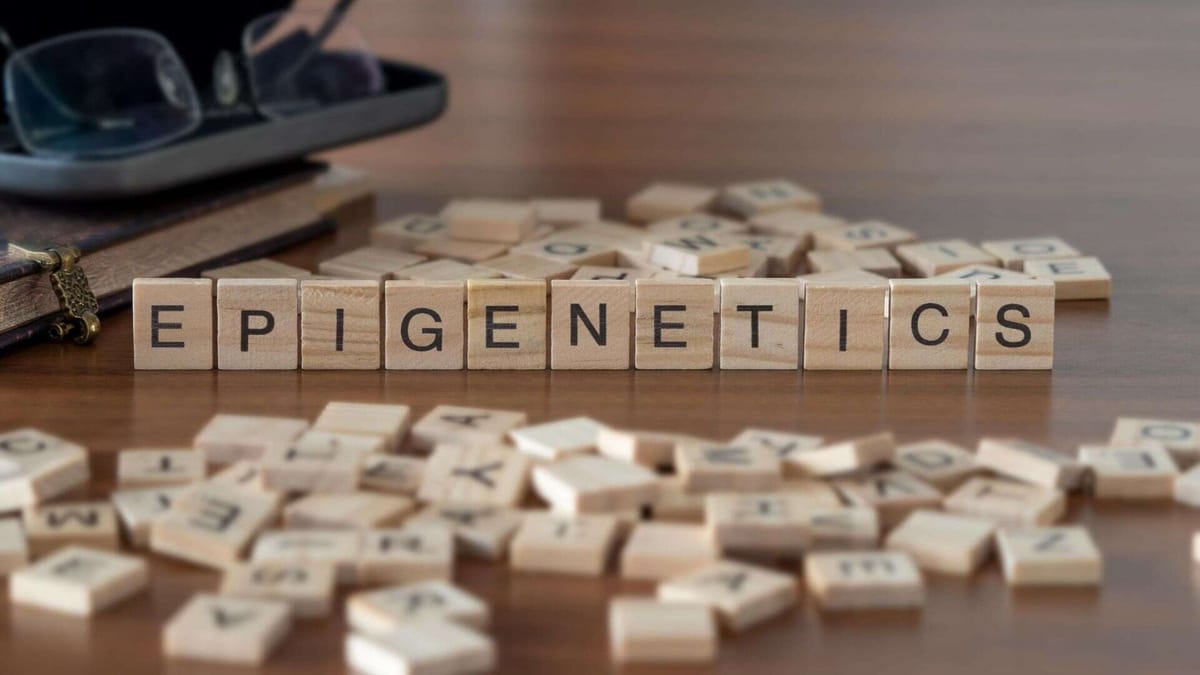 Understanding how epigenetic inheritance dictates cannabis seed ...