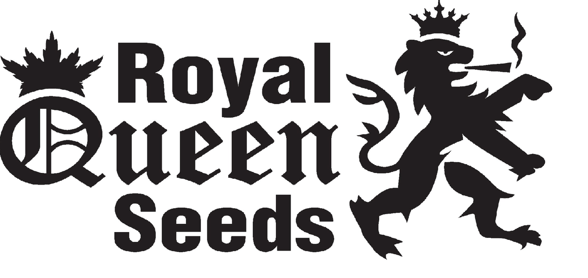 10 Quick Question with Royal Queen Seeds | Seedsman Blog