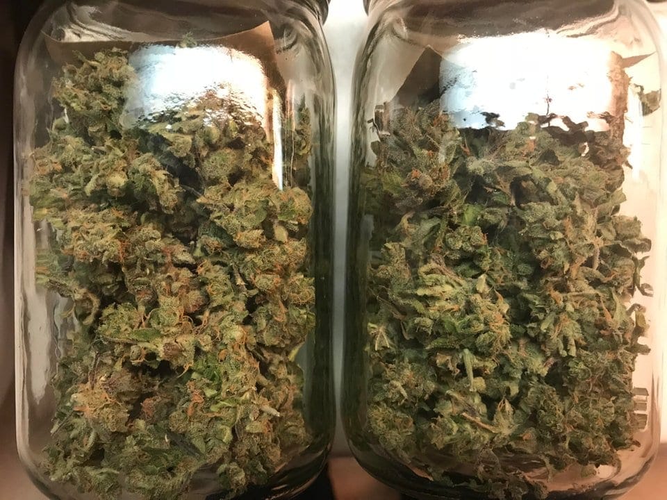 A Guide To Successfully Curing Weed For Beginners